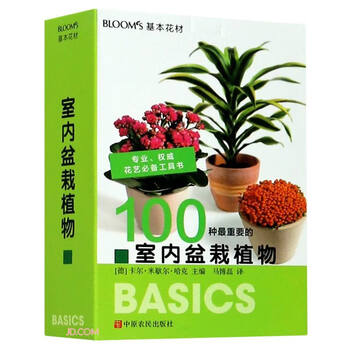 室内盆栽植物(BLOOM'S基本花材)
