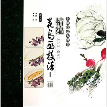 精编花鸟画技法十二讲(第八讲) 梅若 作 书籍