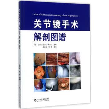 关节镜手术解剖图谱 书籍