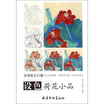 设色荷花小品 金建成 编绘 书籍