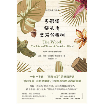 弓形锯，猫头鹰，坚强的橡树