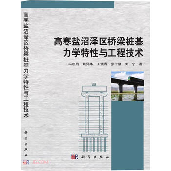 高寒盐沼泽区桥梁桩基力学特性与工程技术