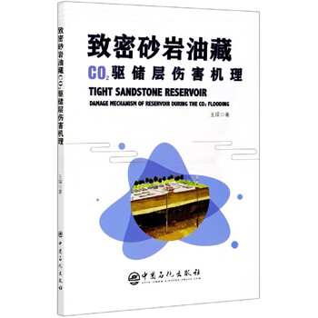 致密砂岩油藏CO2驱储层伤害机理 王琛