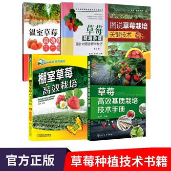 高效基质栽培+棚室栽培+温室优质生产+图说栽培技术+疑难杂症诊断与处方 草莓种植技术书