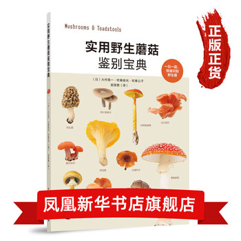 实用野生蘑菇鉴别宝典 大作晃一 吹春俊光 野生蘑菇使用图鉴大全书籍 蘑菇菌菇松茸菌类野生菌野生蘑菇