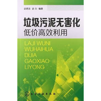 垃圾污泥无害化低价高效利用 9787122164261