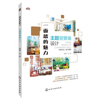 一面墙的魅力 主题背景墙设计【正版图书】