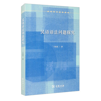 汉语语法问题探究