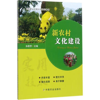 新农村文化建设 孙惠芳 主编 书籍