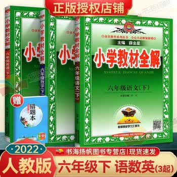 可选】小学教材全解六年级教材解读 下册 语数英3本【人教版 薛金星课本同步辅导资料书部编版