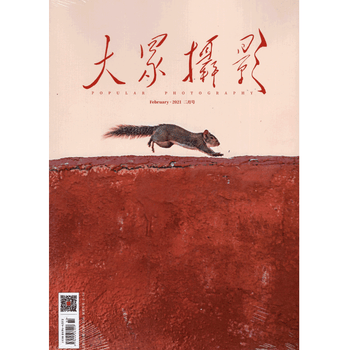 大众摄影杂志  摄影技巧案例器材 2021年2月