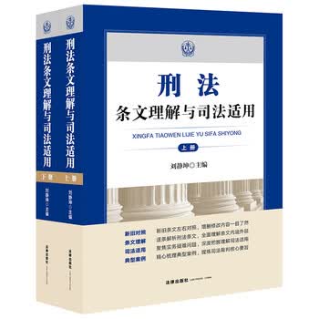 2021 刑法条文理解与司法适用 上下册  刘静坤 法律出版社 刑法修正案十一 正版
