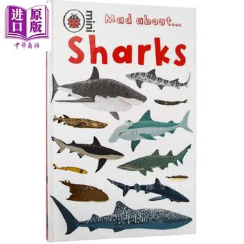 Mad About Sharks 让人着迷的鲨鱼 海洋生物动物科普 精装