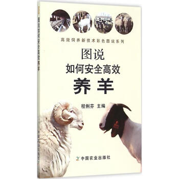 图说如何安全高效养羊