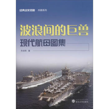 波浪间的巨兽 冬初阳  作 书籍