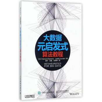 大数据元启发式算法教程