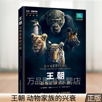 王朝 动物家族的兴衰 BBC 自然界生命 动物世界 野生族群充满温情而又残酷血腥的复杂的社会生活 