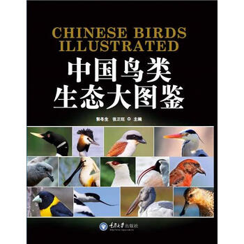 【正版图书】中国鸟类生态大图鉴 郭冬生,张正旺　主编 重庆大学出版社