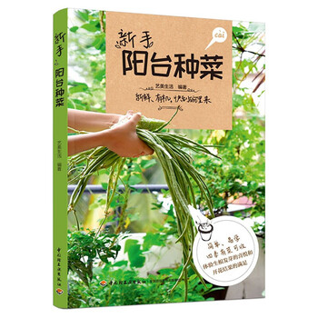 新手阳台种菜