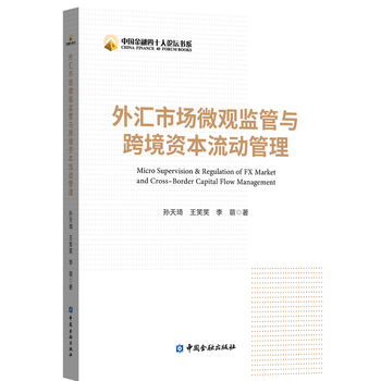 外汇市场微观监管与跨境资本流动管理