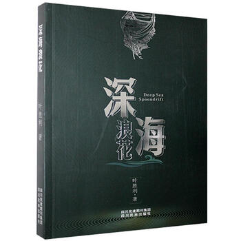 深海浪花小说  图书