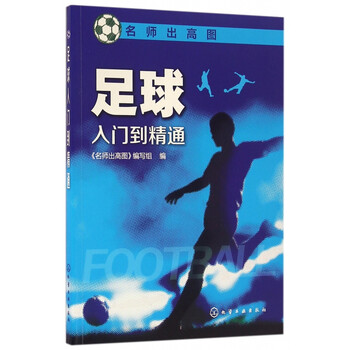 足球入门到精通/名师出高图