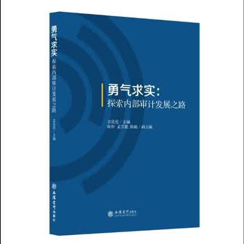 勇气求实：探索内部审计发展之路 袁亮亮