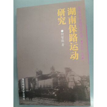 辛亥革命专题研究丛书/湖南保路运动研究