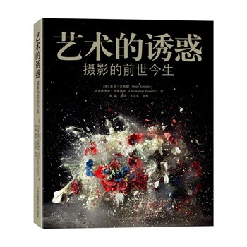 艺术的诱惑--摄影的前世今生【正版图书】