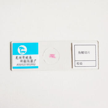 生物切片标本 显微镜玻片标本套装 初中学生儿童学生动物植物细胞 鱼鳃切片