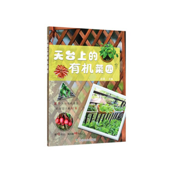 天台上的有机菜园-园艺.家