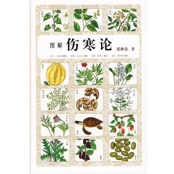 图解伤寒论