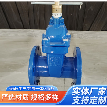 磁性加密闸阀SZ45X-16Q 磁性加密锁闭闸阀门 铸铁锁闭软密封闸阀 DN80【图片 价格 品牌 报价】-京东