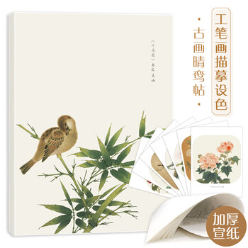新品 工笔画描摹设色 古画晴鸾帖 工笔线描画集 宋画花鸟画白描底稿 国画临摹画册 画画入门自学零基础