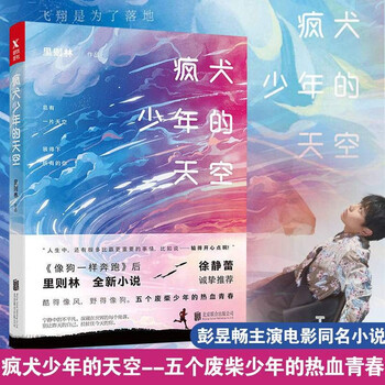 疯犬少年的天空 里则林 北京联合出版公司