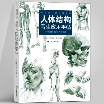 人体结构写生应用手帖三泽宽志 女生人体结构造型设计手绘素描技法艺用人体结构解剖 动漫人物素描速写写生