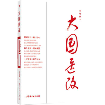大国医改
