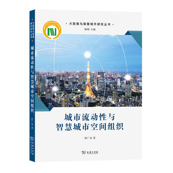 城市流动性与智慧城市空间组织（大数据与智慧城市研究丛书）