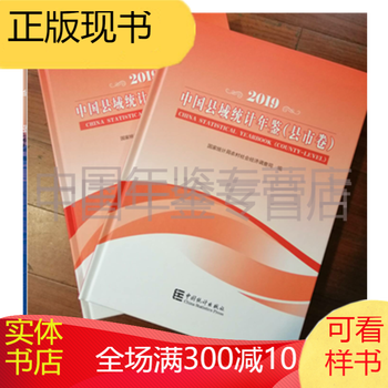 中国县域统计年鉴2019  电子版