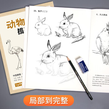 经典全集 动物速写描摹本 零基础画画入门新手自学教程书籍线描花卉临摹手绘初学者学绘画教材铅笔画素描速写描摹画稿美院名师范画 动物速写描摹本