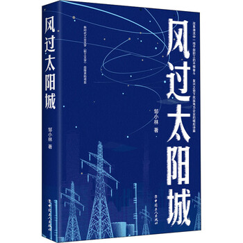 风过太阳城 邹小林 著 官场、职场小说