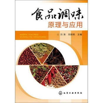 食品调味原理与应用 冯涛 刘晓艳 编 书籍