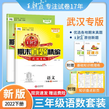 2022新武汉专版期末试卷王朝霞一二三四年级下册语文数学期末试卷研小学五六年级期末真题试卷期末总复习小学试卷 三年级语文+数学（人教版）2本套装