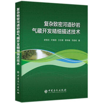 复杂致密河道砂岩气藏开发精细描述技术
