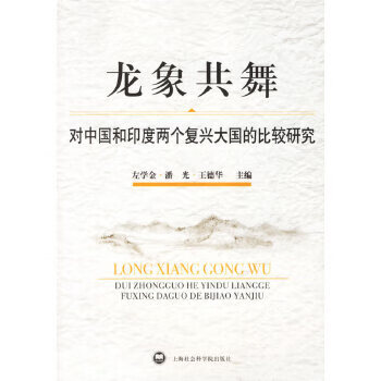 龙象共舞