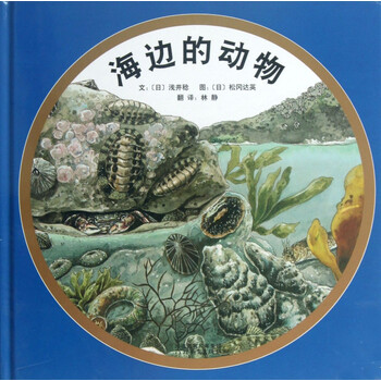 海边的动物(精)