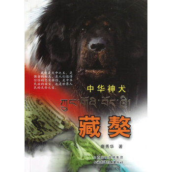 中华神犬藏獒