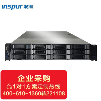 浪潮(INSPUR)英政CS5280H 服务器主机 2U机架式国产 2颗C86 7280丨128G丨4*2T SATA +480G丨1G缓存丨双电丨三年服务【图片 价格 品牌 报价】-京东