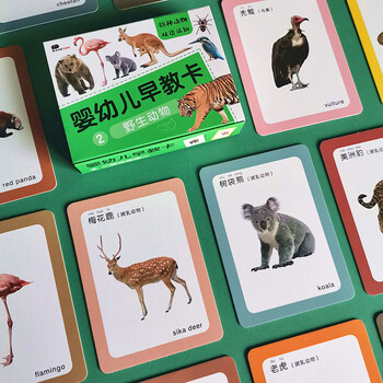 婴幼儿童早教认知卡片1-2-3岁宝宝看图识字动物数字拼音启蒙玩具 野生动物【48种动物/双语认知】