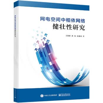 网电空间中相依网络健壮性研究
